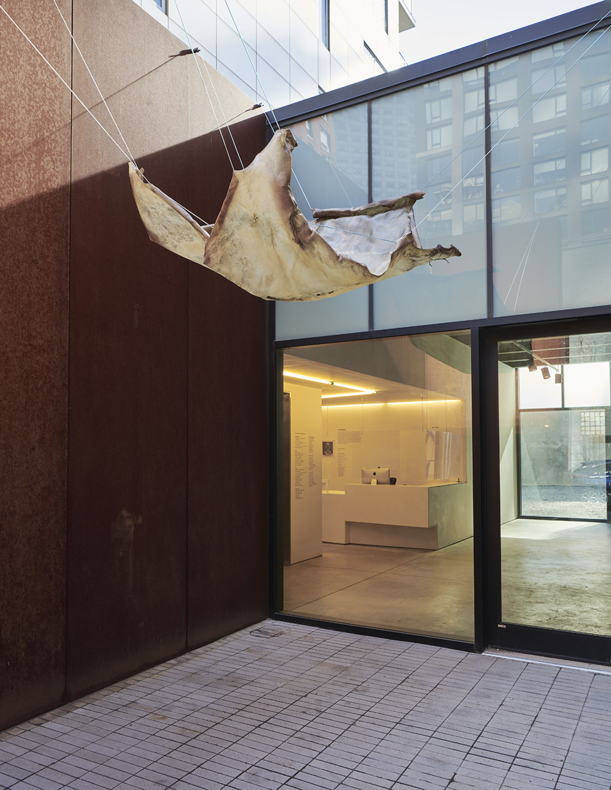 Rindon Johnson: Law of Large Numbers: Our Bodies – Exhibitions ...