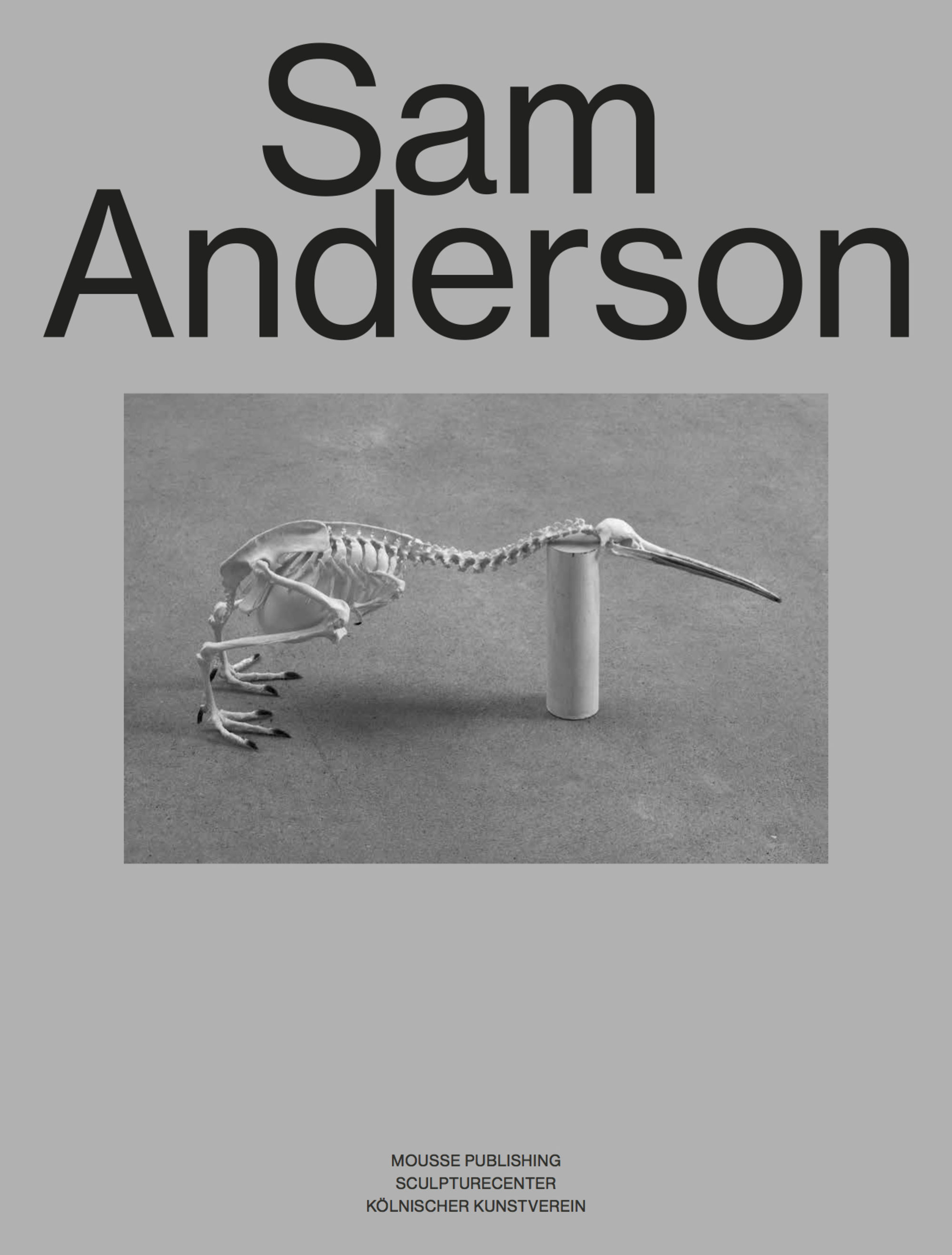 Sam Anderson – Publications – SculptureCenter