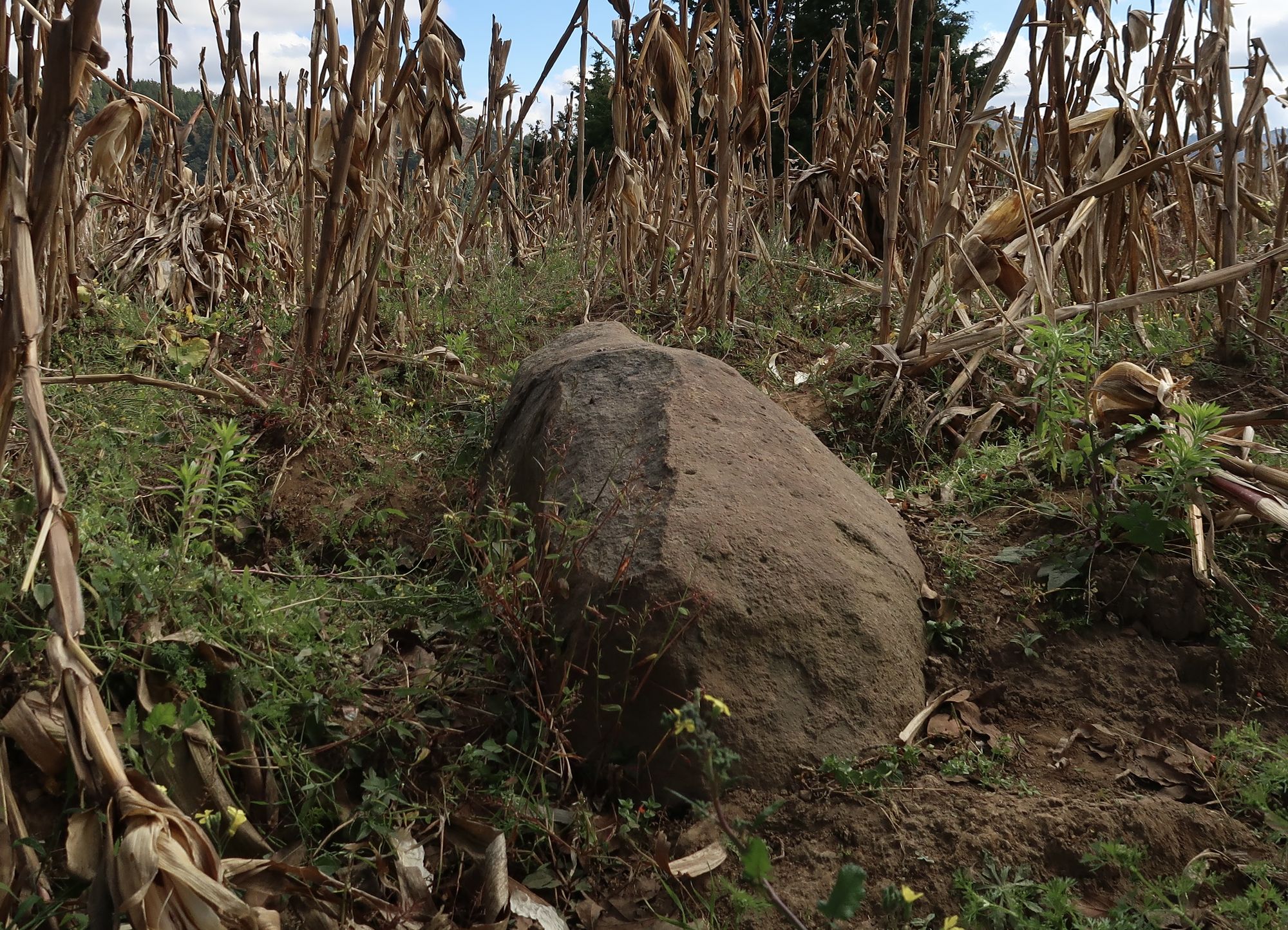 Edgar Calel: B’alab’äj (Jaguar Stone) & In Practice: Jordan Loeppky ...
